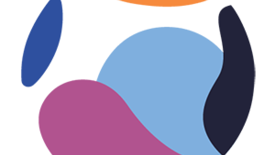 CCDI Webinar: Succession planning for Indigenous professionals in ...